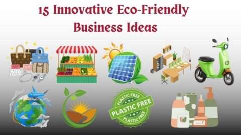 15 Innovative Eco-Friendly Business Ideas