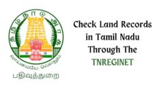 TNREGINET: Quick Online Check for Tamil Nadu Land Records