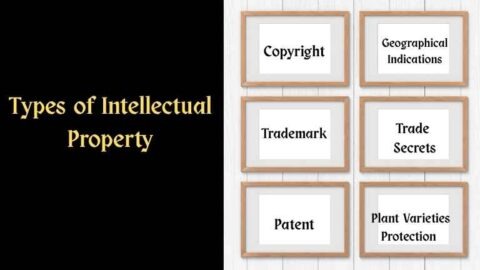 A Complete Guide of Types of Intellectual Property